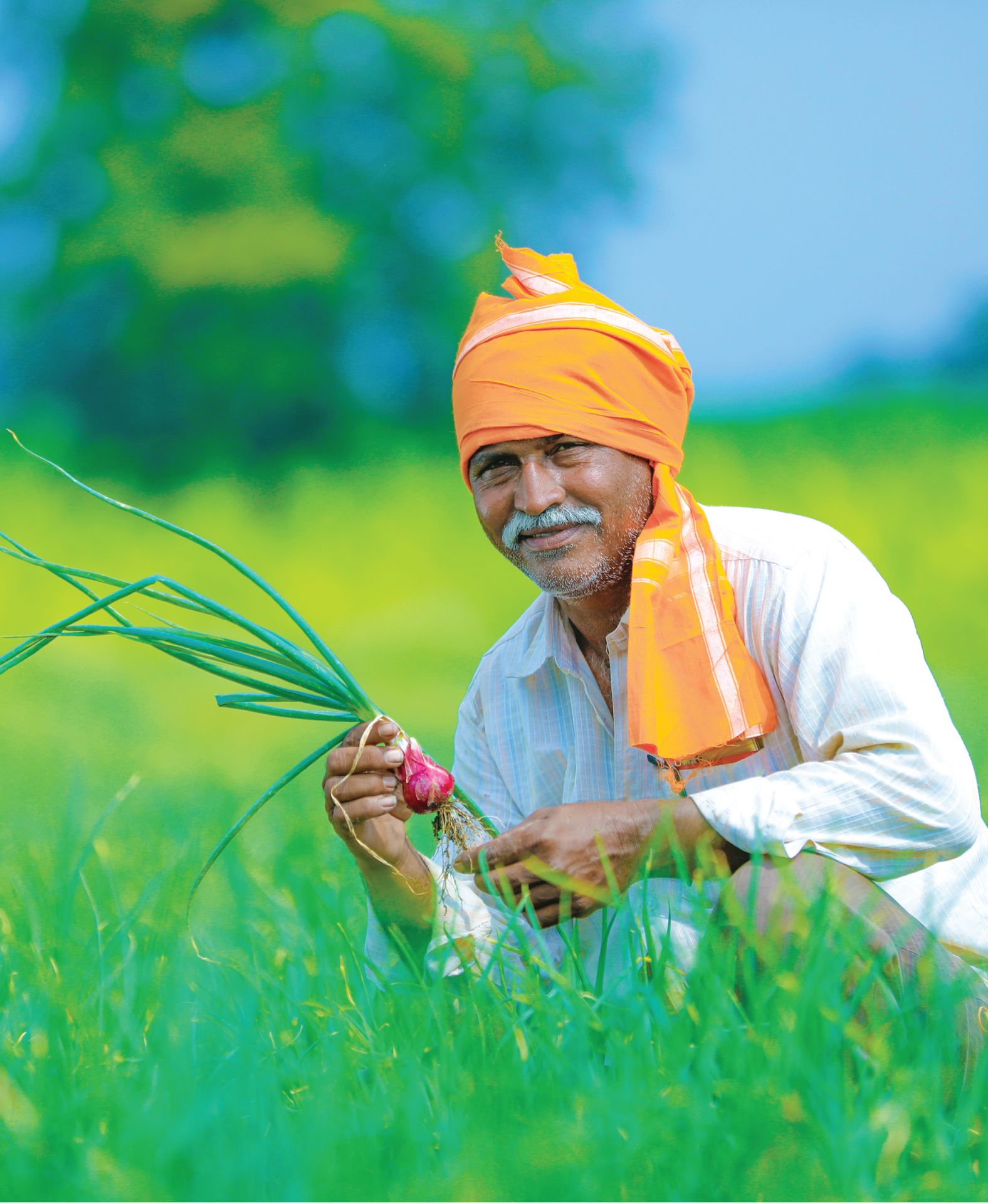 Home | Neoteric Energy