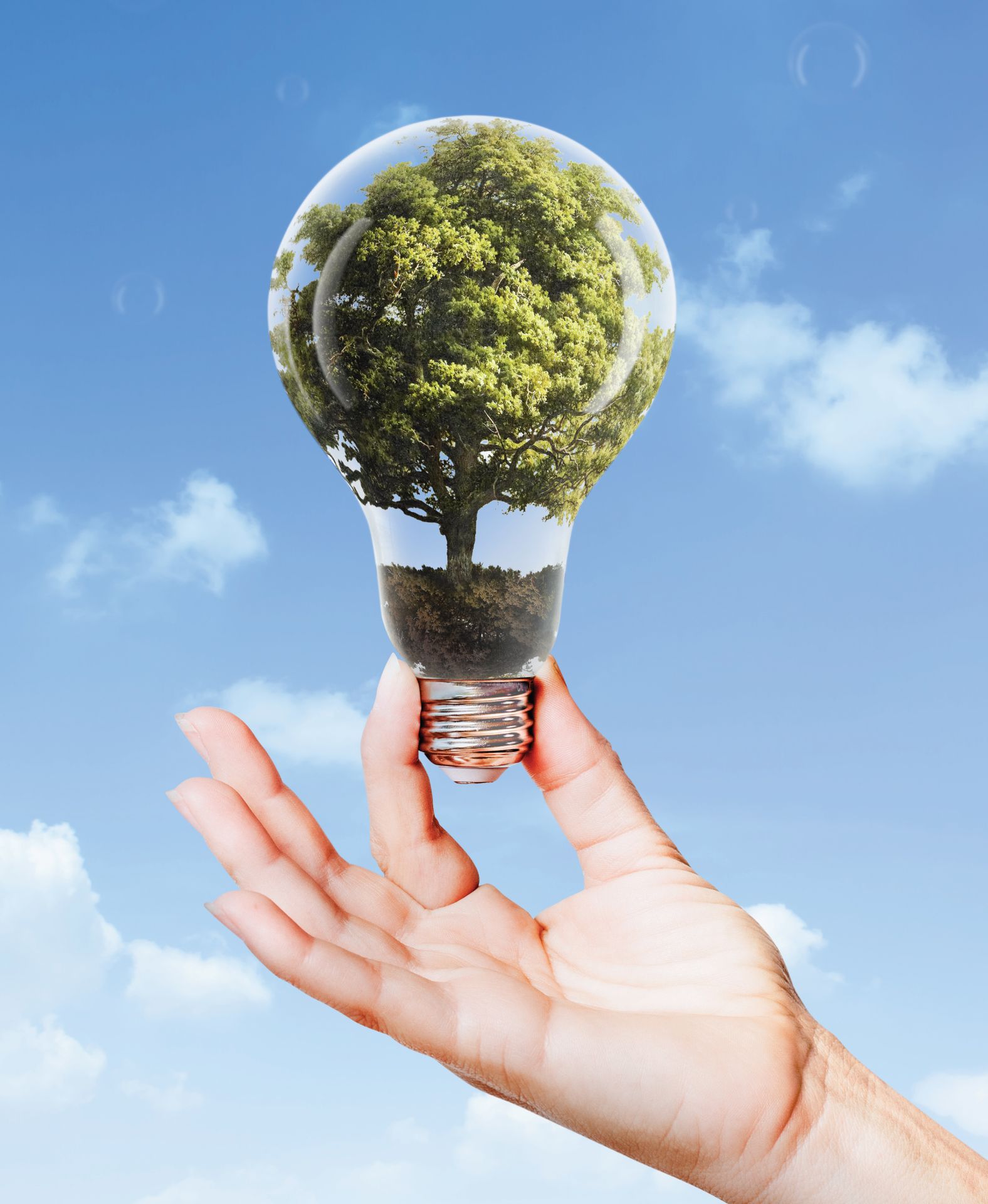 Home | Neoteric Energy